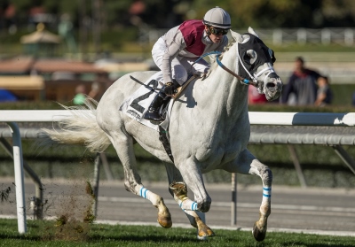 Calculator captures Santa Anita’s Clocker’s Corner Stakes – OBS Sales